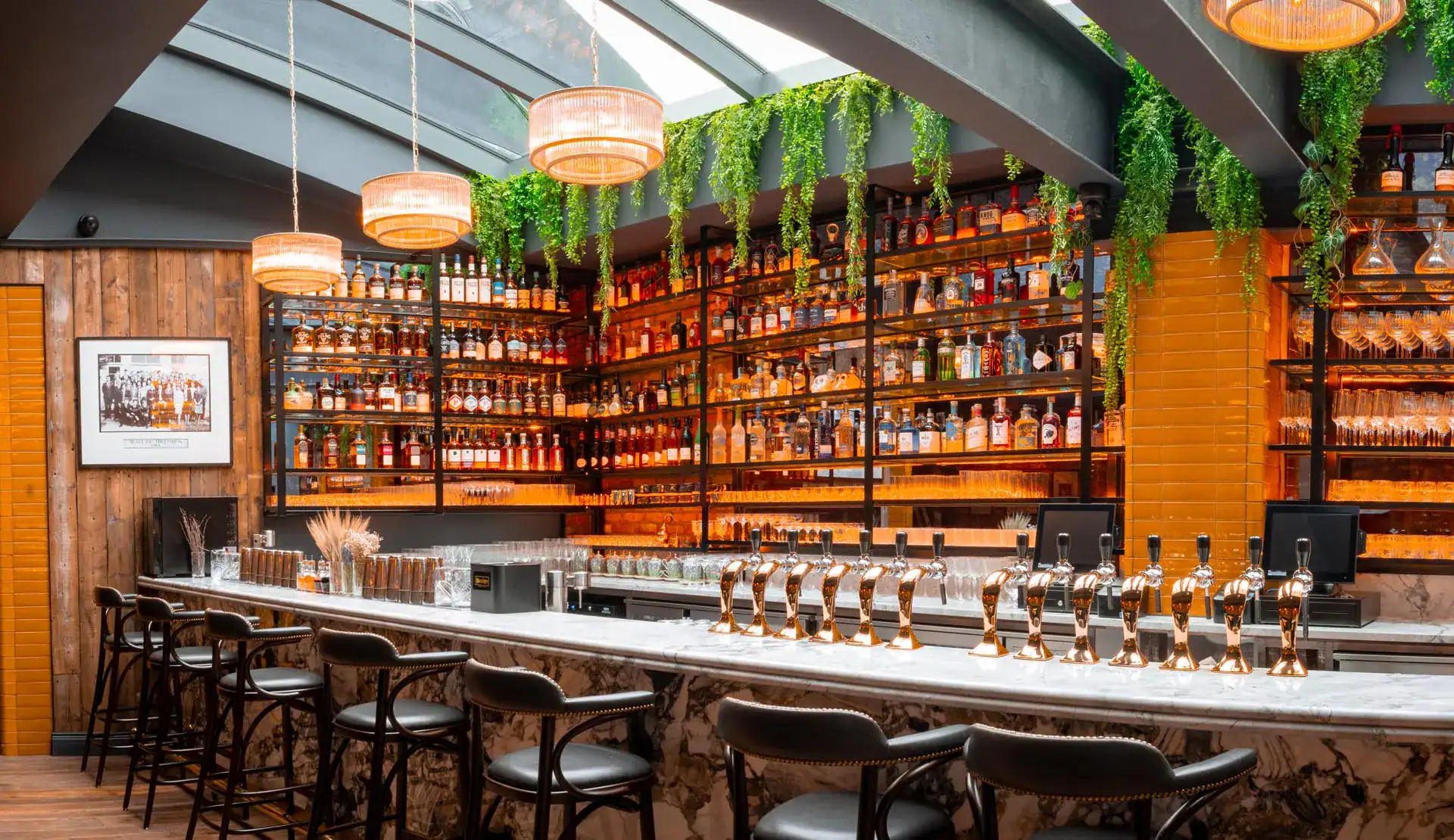 Best Bars & Pubs in Killarney in 2025 | Where to Drink Local