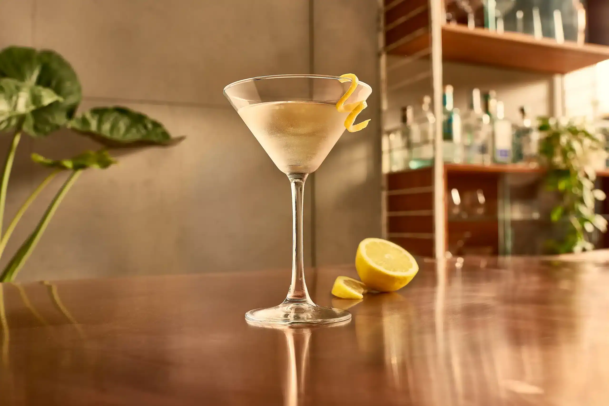 Dry Martini With Lemon Twist | A Classic With Muckross Irish Gin